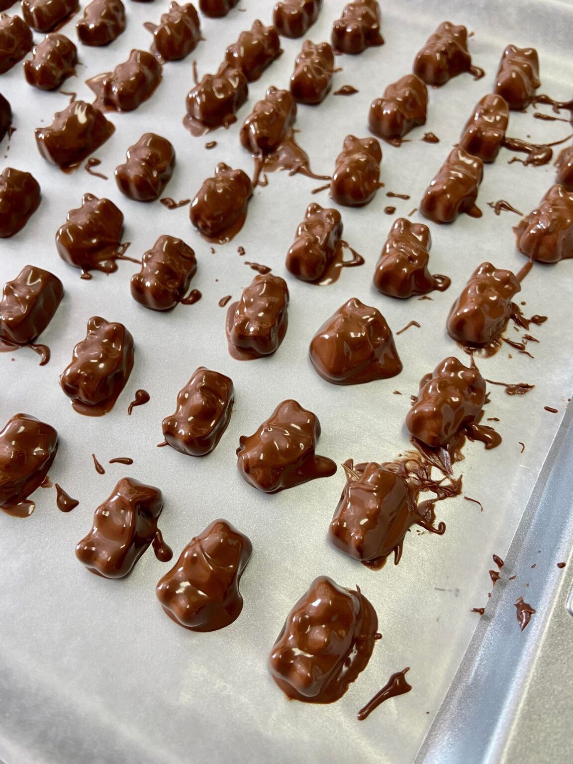 The Best Chocolate Covered Gummy Bears Candies Recipe ...